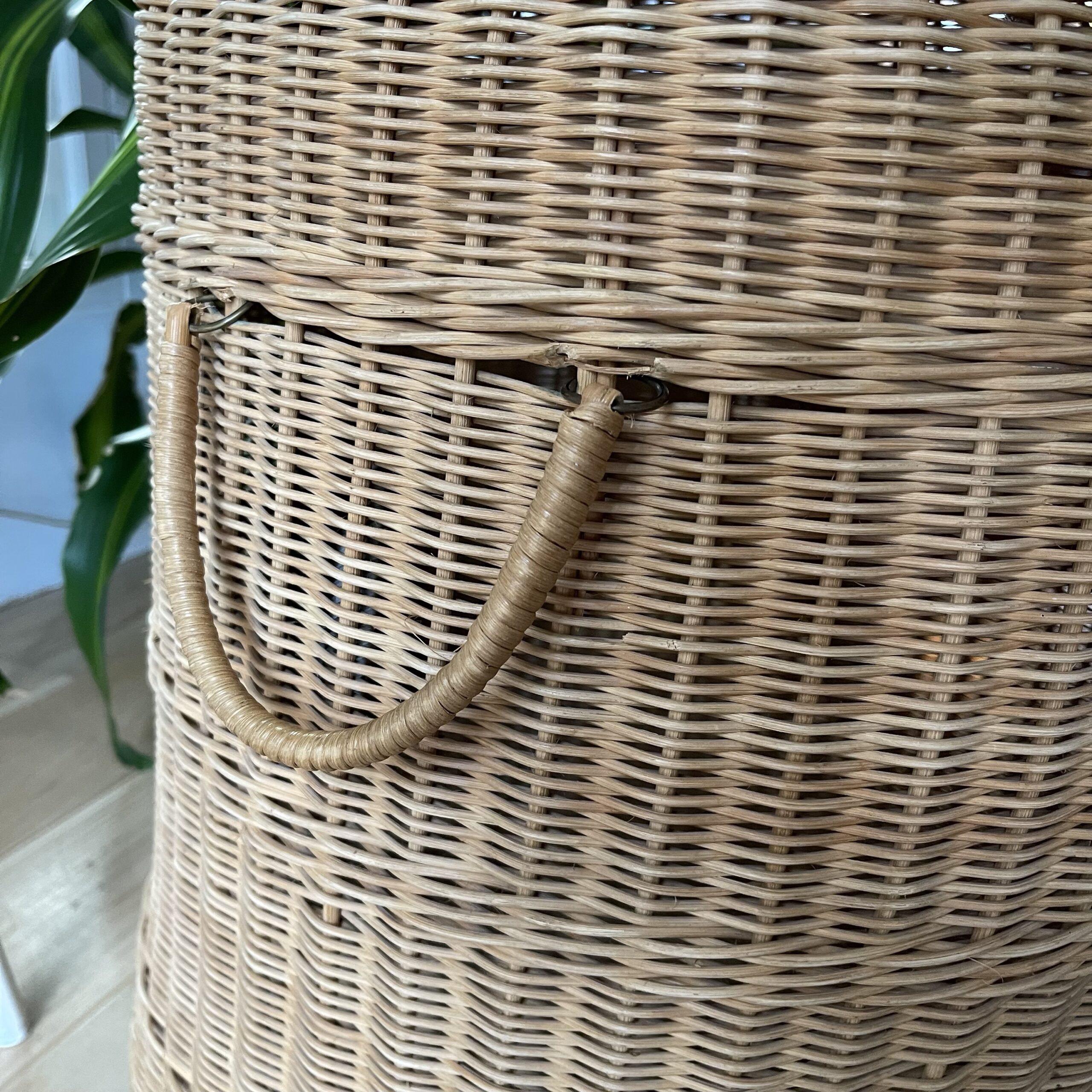 Stor kurv i naturflet - Villa og Vejbod